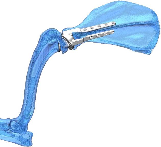 The world’s first Total shoulder replacement in a dog : VetVisuals ...